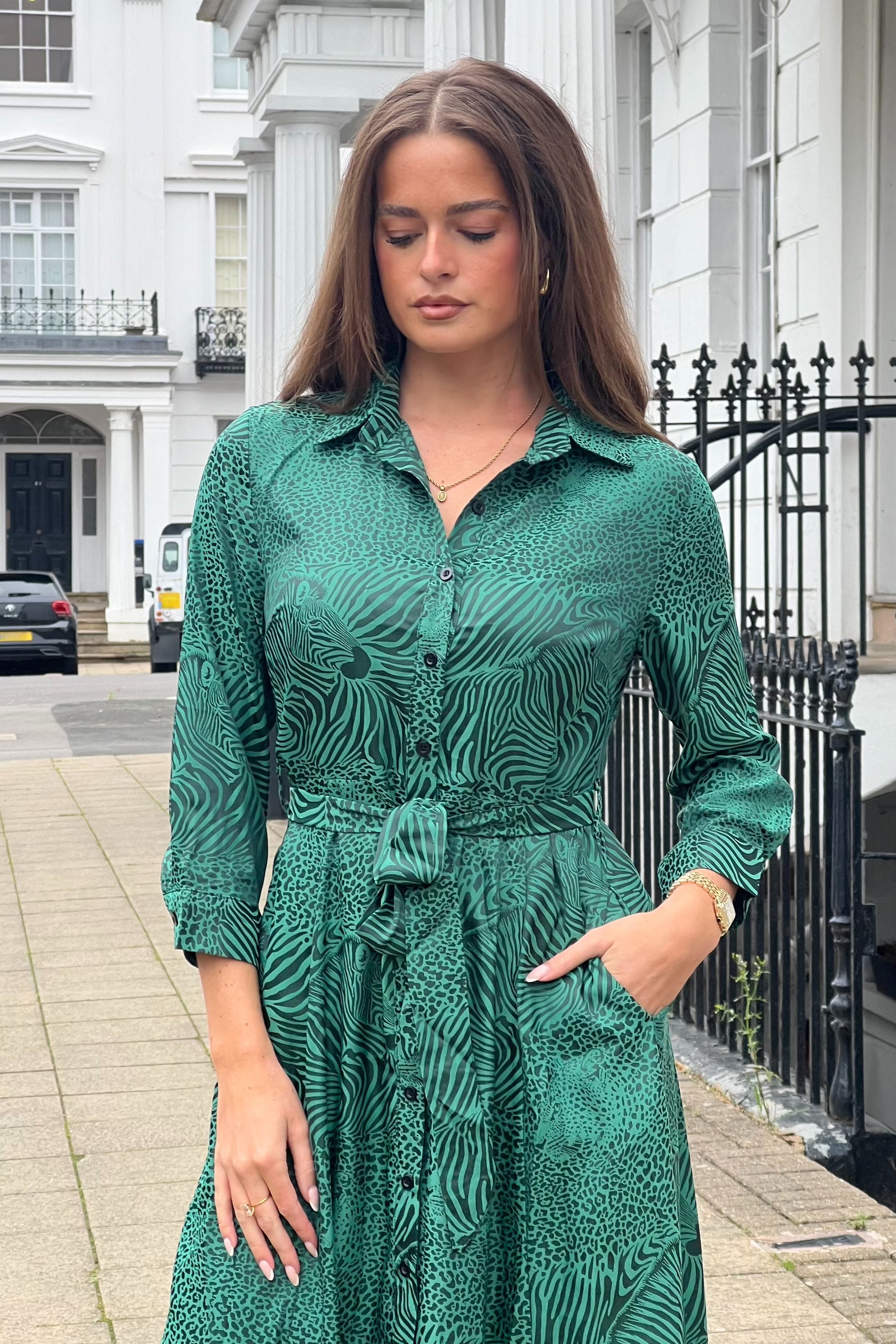 Angela Long Sleeve Maxi Shirt Dress Green Animal